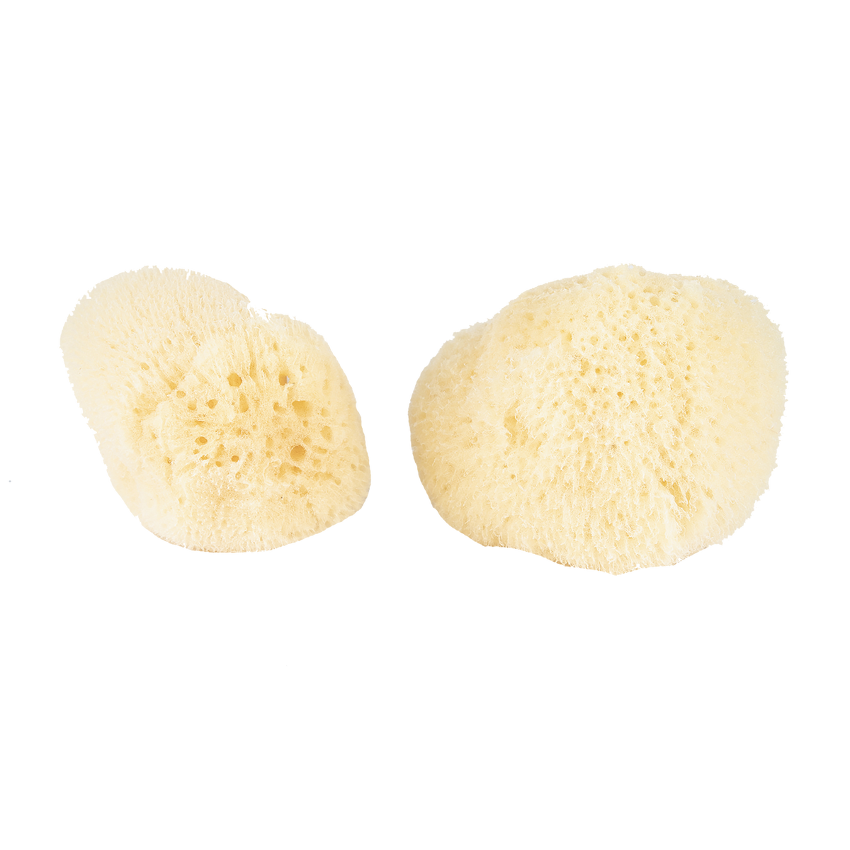 Baudelaire Silk Sea Sponges – Figgy Co.